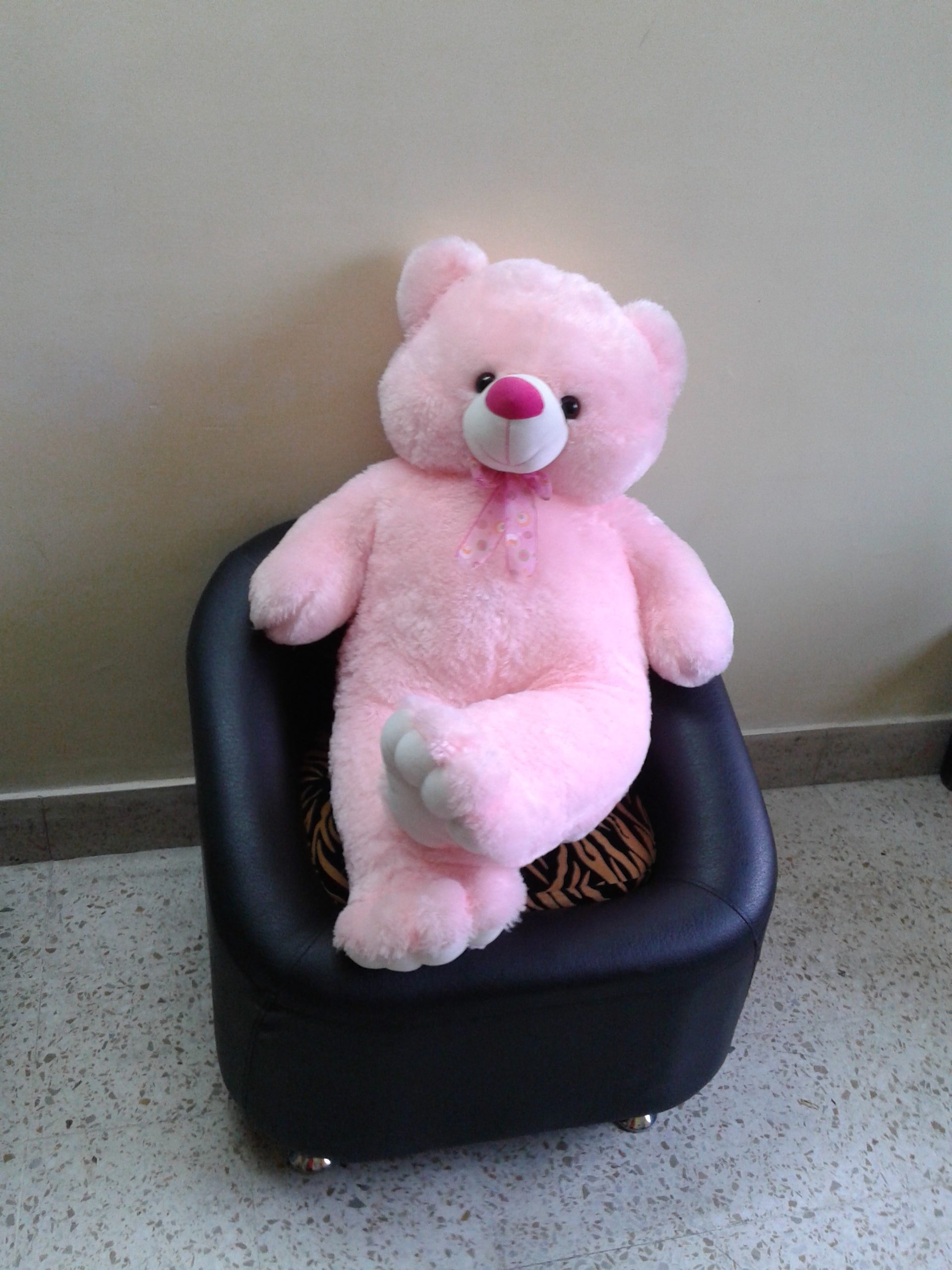 Fred, the teddy bear. - Sunita Saldhana